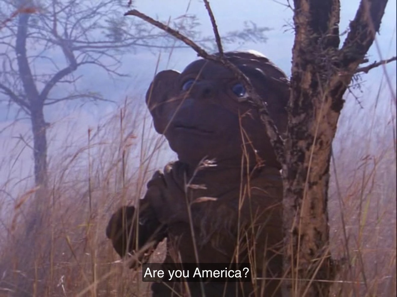 Film Review: Nukie (1987, dir. Sias Odendal and Michael Pakleppa ...