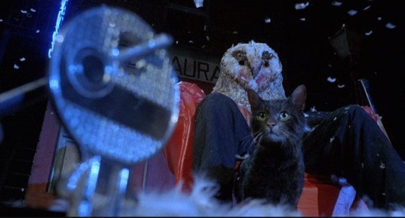 evil cat 1987